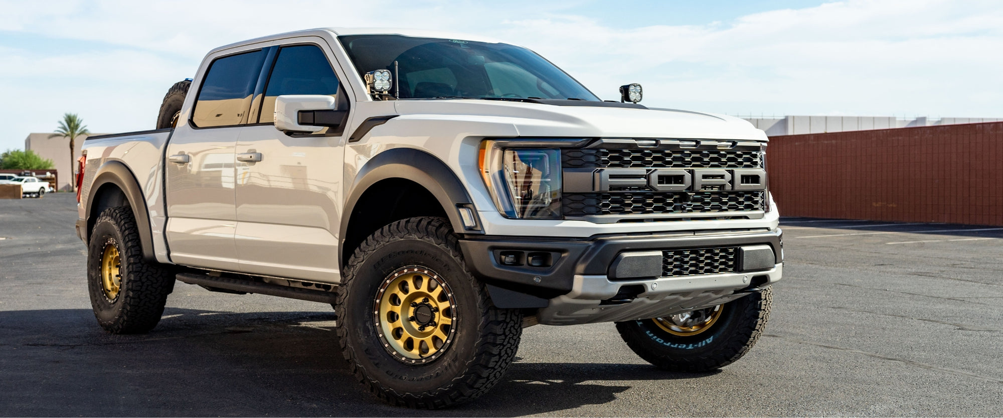 Cory's 3rd Generation Raptor