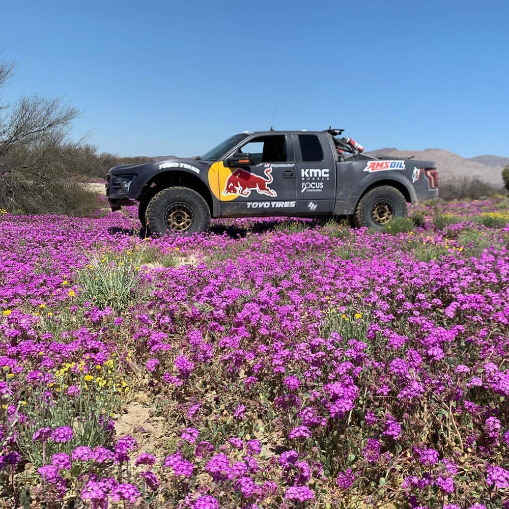 Fiberwerx-'04-14 Ford F150 to 2017+ Raptor Luxury Prerunner One Piece