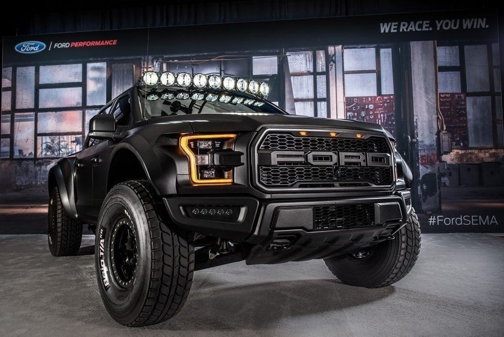 Fiberwerx | Ford Raptor